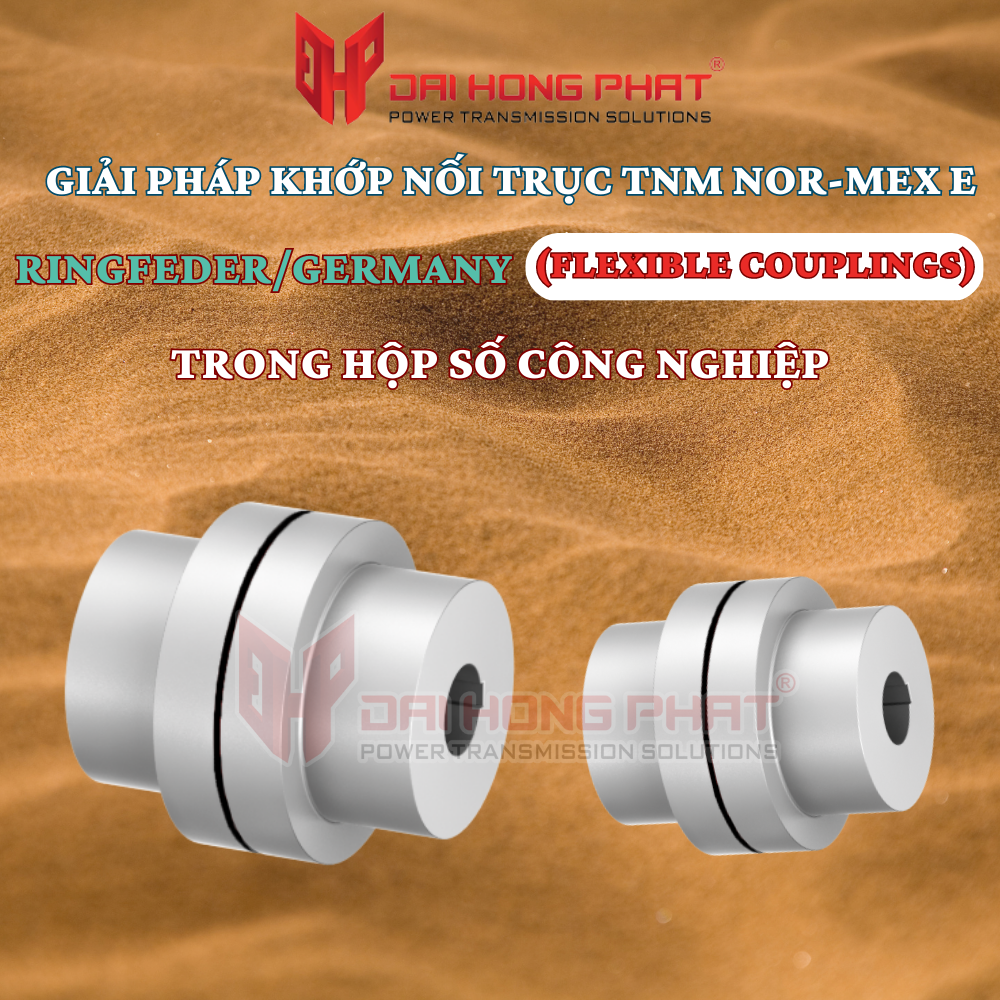 GIẢI PHÁP KHỚP NỐI TRỤC TNM NOR-MEX E RINGFEDER/GERMANY (FLEXIBLE ...