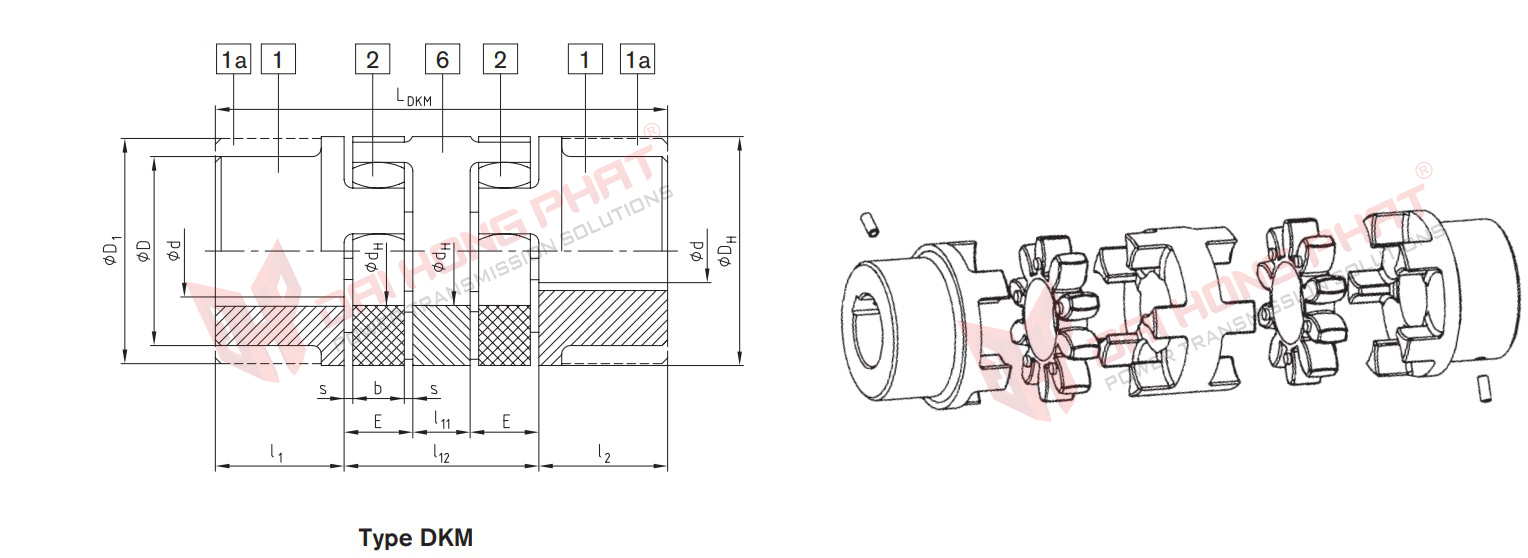 KTR Rotex Coupling DKM - Dai Hong Phat Corp