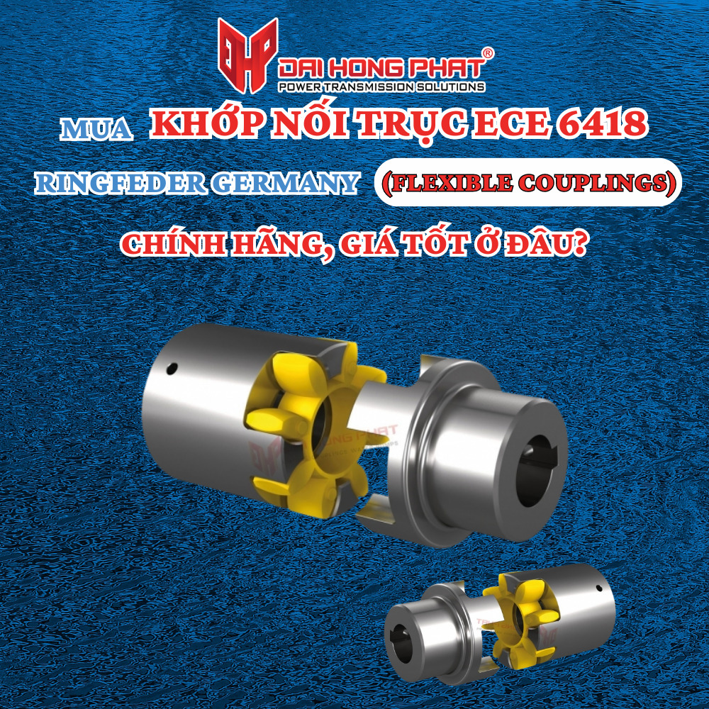 MUA KHỚP NỐI TRỤC ECE 6418 RINGFEDER GERMANY (FLEXIBLE COUPLINGS) CHÍNH HÃNG, GIÁ TỐT Ở ĐÂU ...