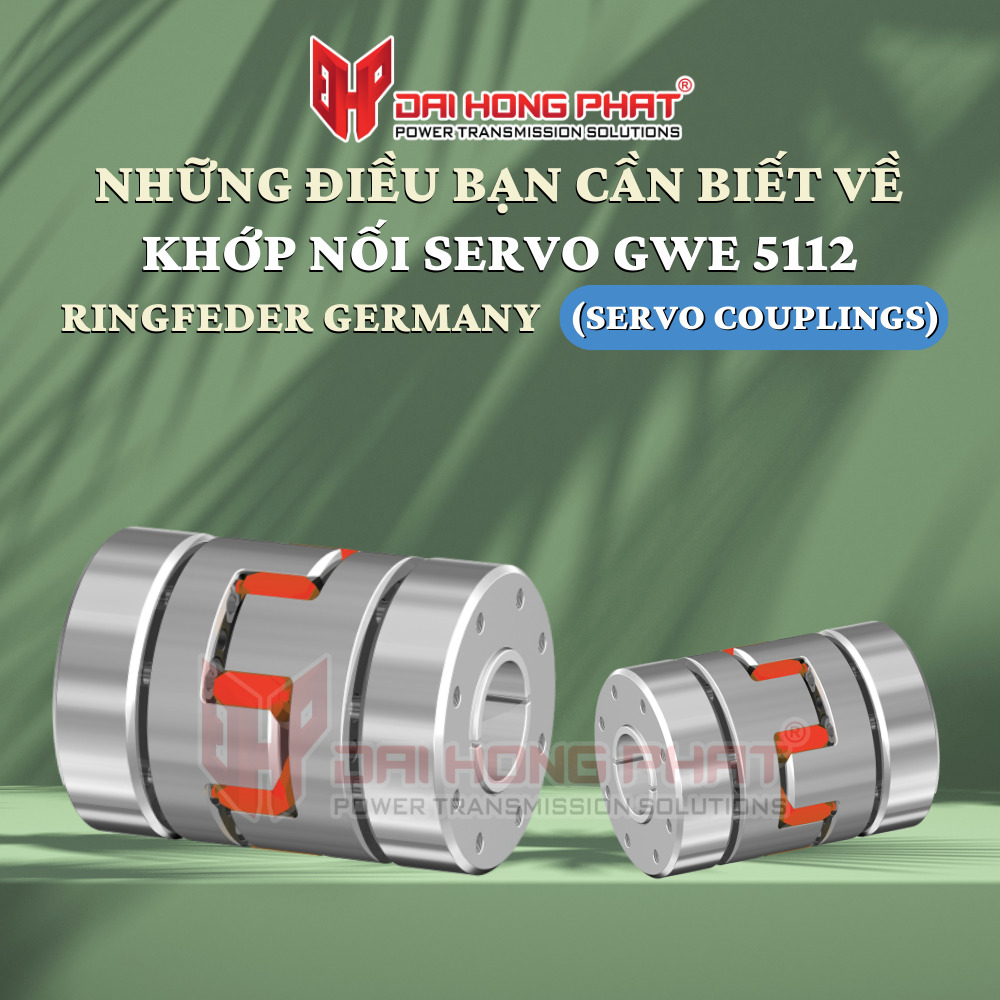 NHỮNG ĐIỀU BẠN CẦN BIẾT VỀ KHỚP NỐI SERVO GWE 5112 RINGFEDER GERMANY (SERVO COUPLINGS) - Đại ...